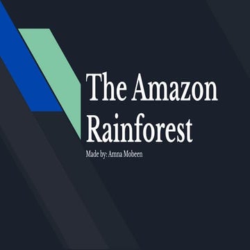 The Amazon Rainforest | PDF