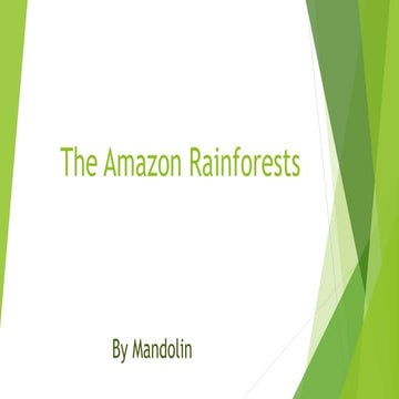 The Amazon Rainforests by mandolin | PPTX