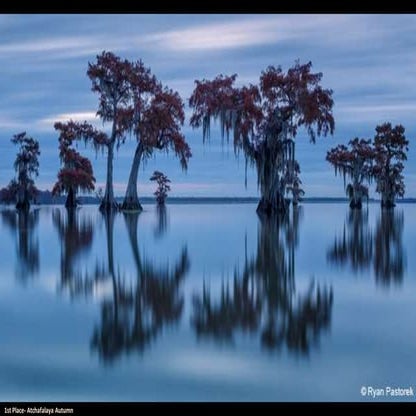 The American Landscape 2015 Photo Contest: Winners and Finalists | PPSX