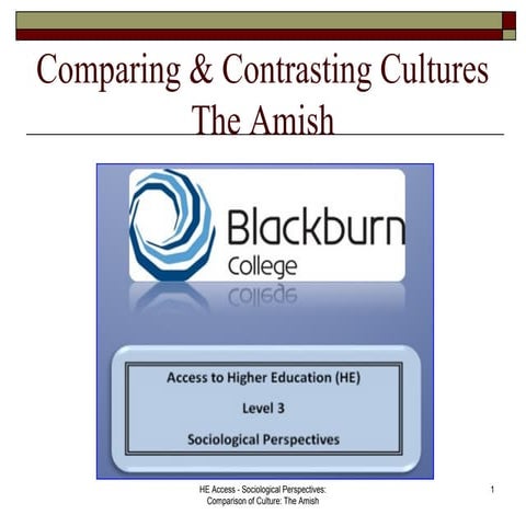 HE Access Week 3: Amish Culture | PPT
