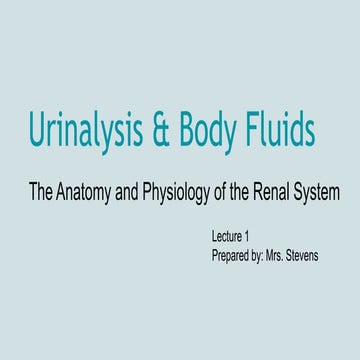Urinary System Notes | PPT