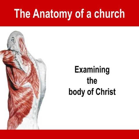 The anatomy of a church - an examination | PPT