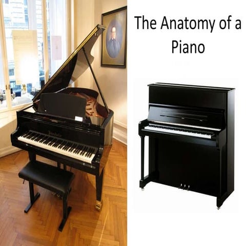 The Anatomy of a Piano: One Minute Lesson | PPTX