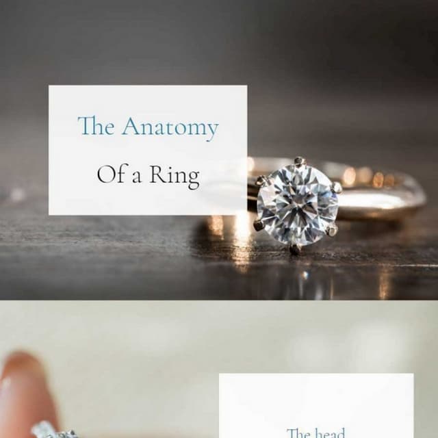 The anatomy of a ring | PDF