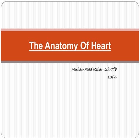 The Anatomy Of Heart | PPTX