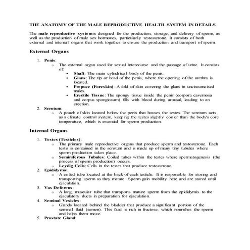 THE ANATOMY OF THE MALE REPRODUCTIVE HEALTH SYSTEM IN DETAILS.pdf