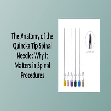 The Anatomy of the Quincke Tip Spinal Needle.pptx
