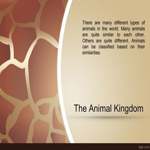 Animal Kingdom | PPT