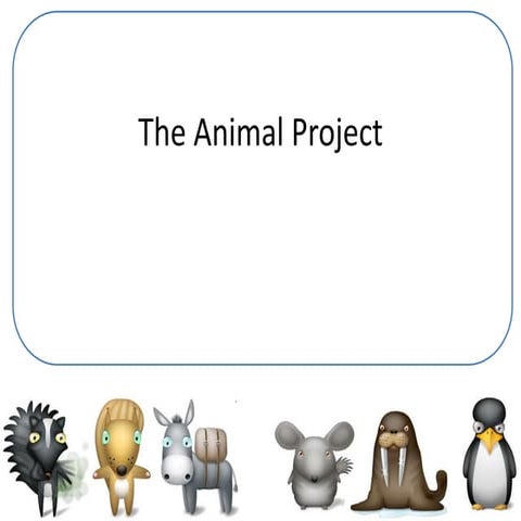 The Animal project | PPT