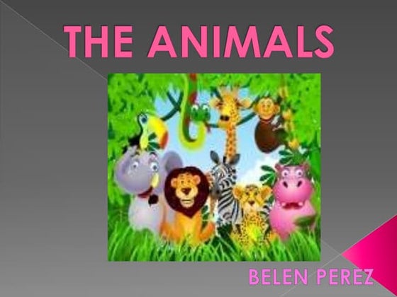 Wild animals | ODP