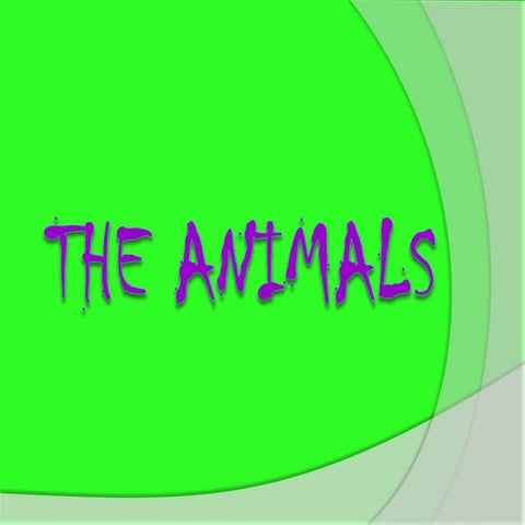 The animals | PPT