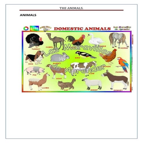The animals. | DOCX