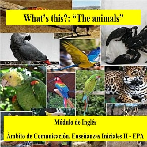 The animals | PPT