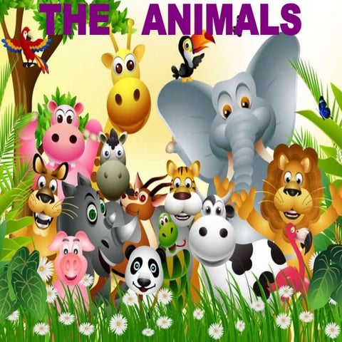 Physical characteristics of animals | PPTX