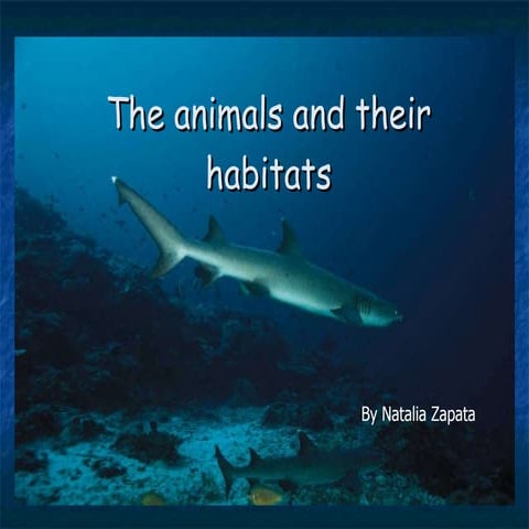 Animal Homes | PPT