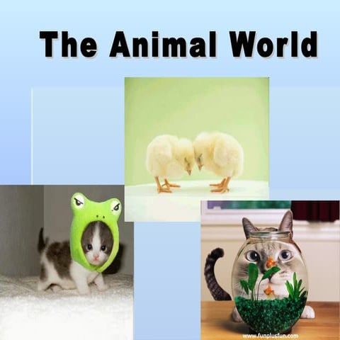 The animal world | PPT