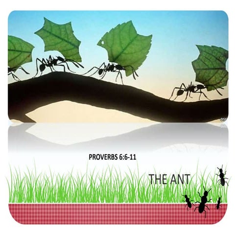 The ant final | PPT