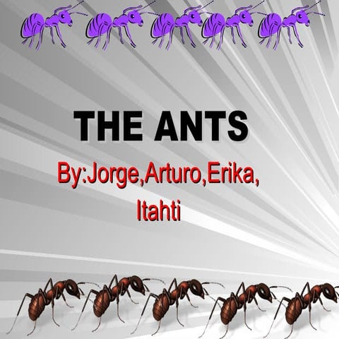 The ants | PPT