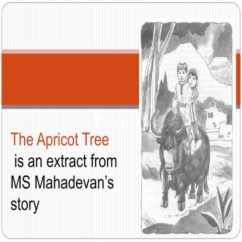 The apricot tree5 (1).pptx