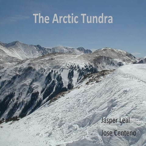 The Arctic Tundra | PPT