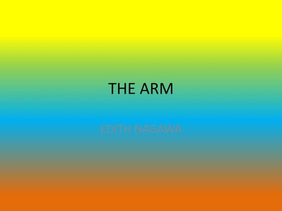 The anatomy of the arm | PPT | Death, Injury, or Military Conflict ...