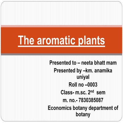 The aromatic plants.pptx