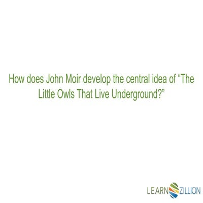 The article the little owls that live undergound pp2analyzehow lessonslides pptx | PPTX