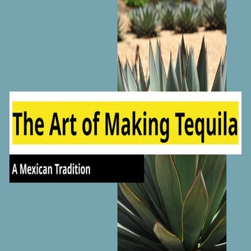 The Art of Making Tequila with photos.pptx
