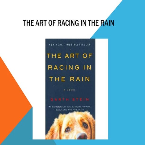 The art of racing in the rain | PPTX