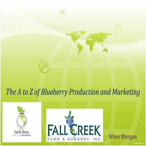 The A to Z of Blueberry Production and Marketing | PPTX