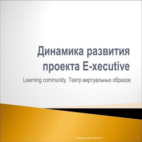 Executive.ru: театр виртуальных образов | PPT | Business and Finance
