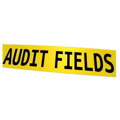 The Audit Fields | PPTX