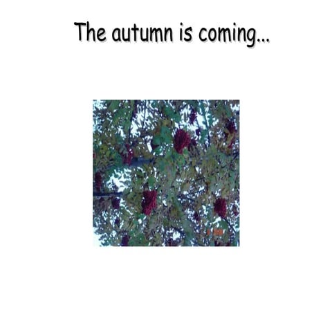 The Autumn Is Coming | PPT