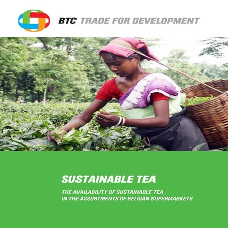 The availability of sustainable tea in the assortments of Belgian ...