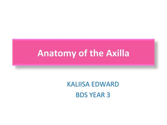 4-AXILLA.ppt anatomy of the axillary region | PPT