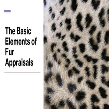 The Basic Elements of Fur Appraisals | PDF