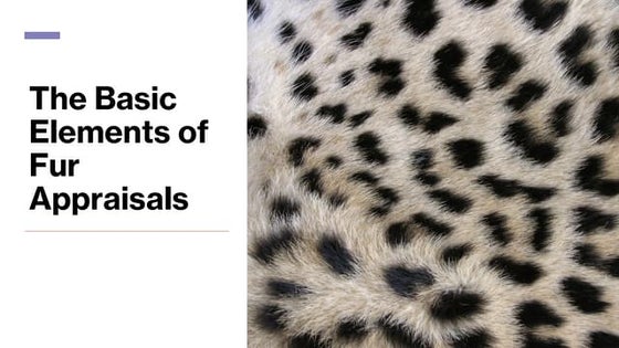 The Versatility of Fur | PPT