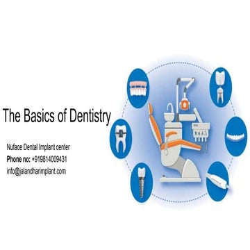 The Basics of Dentistry | PPTX