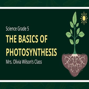 The Basics of Photosynthesis in Plants Educational Presentation in ...