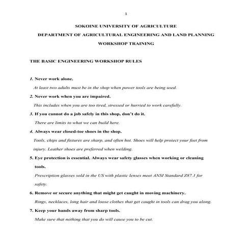 The basic workshop rules | PDF