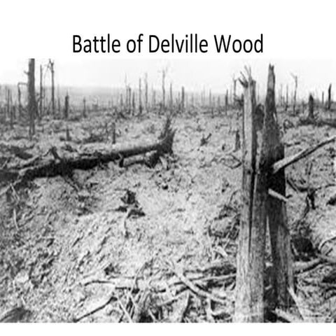 The battle of delville wood | PPT