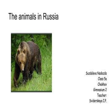 The bear, symbol of Russia | PPT