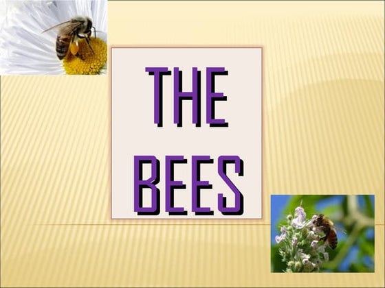 All about honey bees | PPT
