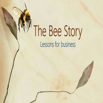 The bee story | PPT