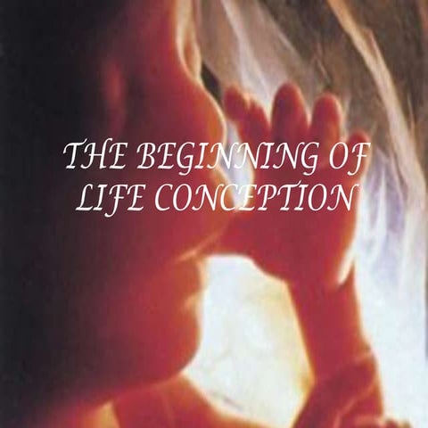 The beginning of life conception | PPTX