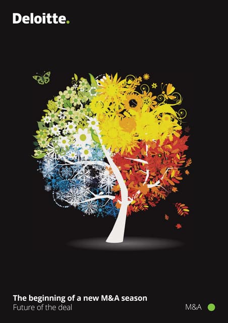 BDO Risk Factor Report