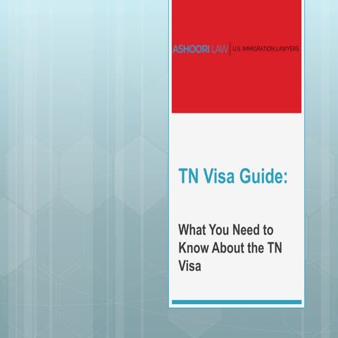 The benefits of a tn visa | PPTX