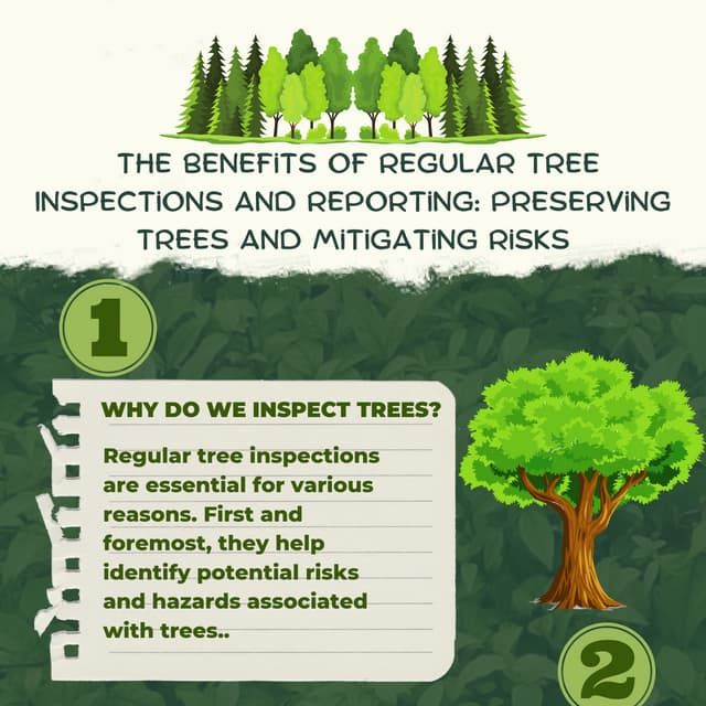 The Benefits of Regular Tree Inspections and Reporting Preserving Trees ...