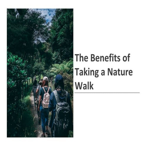 The Benefits of Taking a Nature Walk | PDF