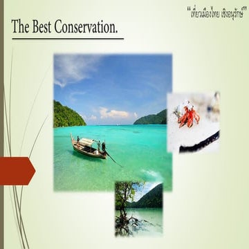 The best conservation | PDF